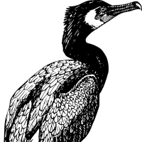 Gray Coast Guildhall